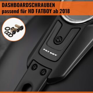 Schraubenkit für Dashboard / Tank / Tacho | Harley Davidson Fatboy ab ...